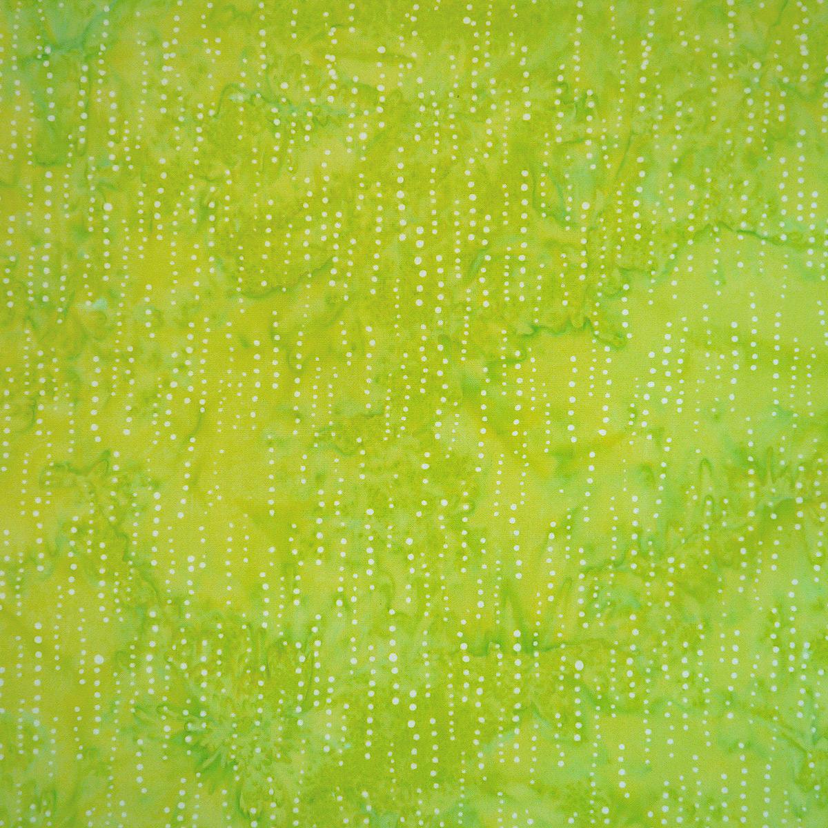 Parkside Fabrics Batik Honey Sage HS-28 4743 – Affinity For Quilts, Inc.